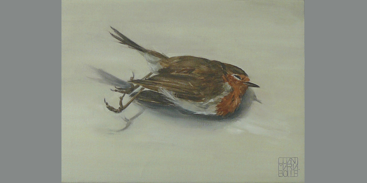 Juan Maria Bolle - Painter - Galleries