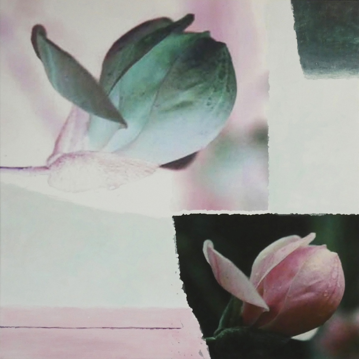 Juan Maria Bolle - Painter - Galleries