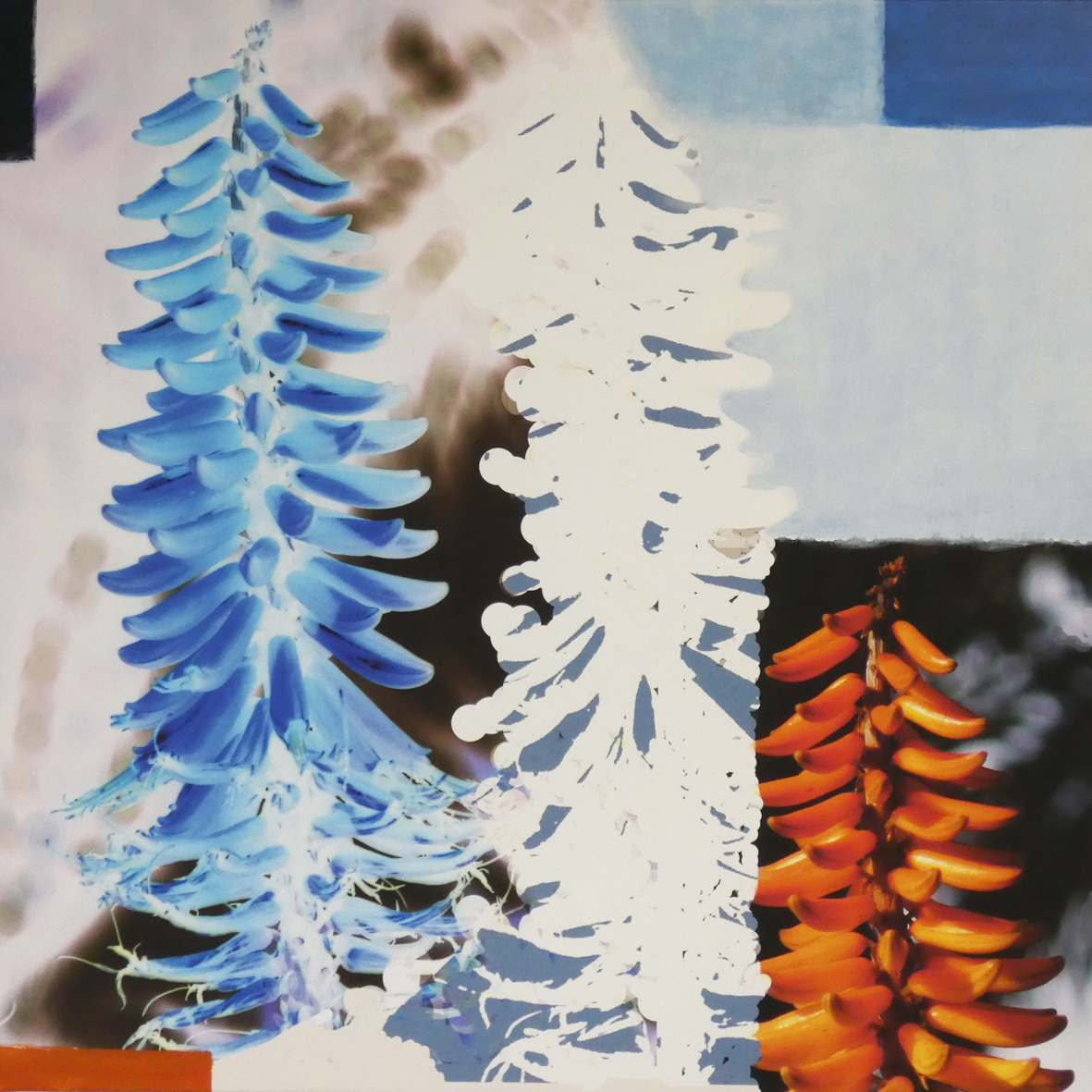 Juan Maria Bolle - Painter - Galleries